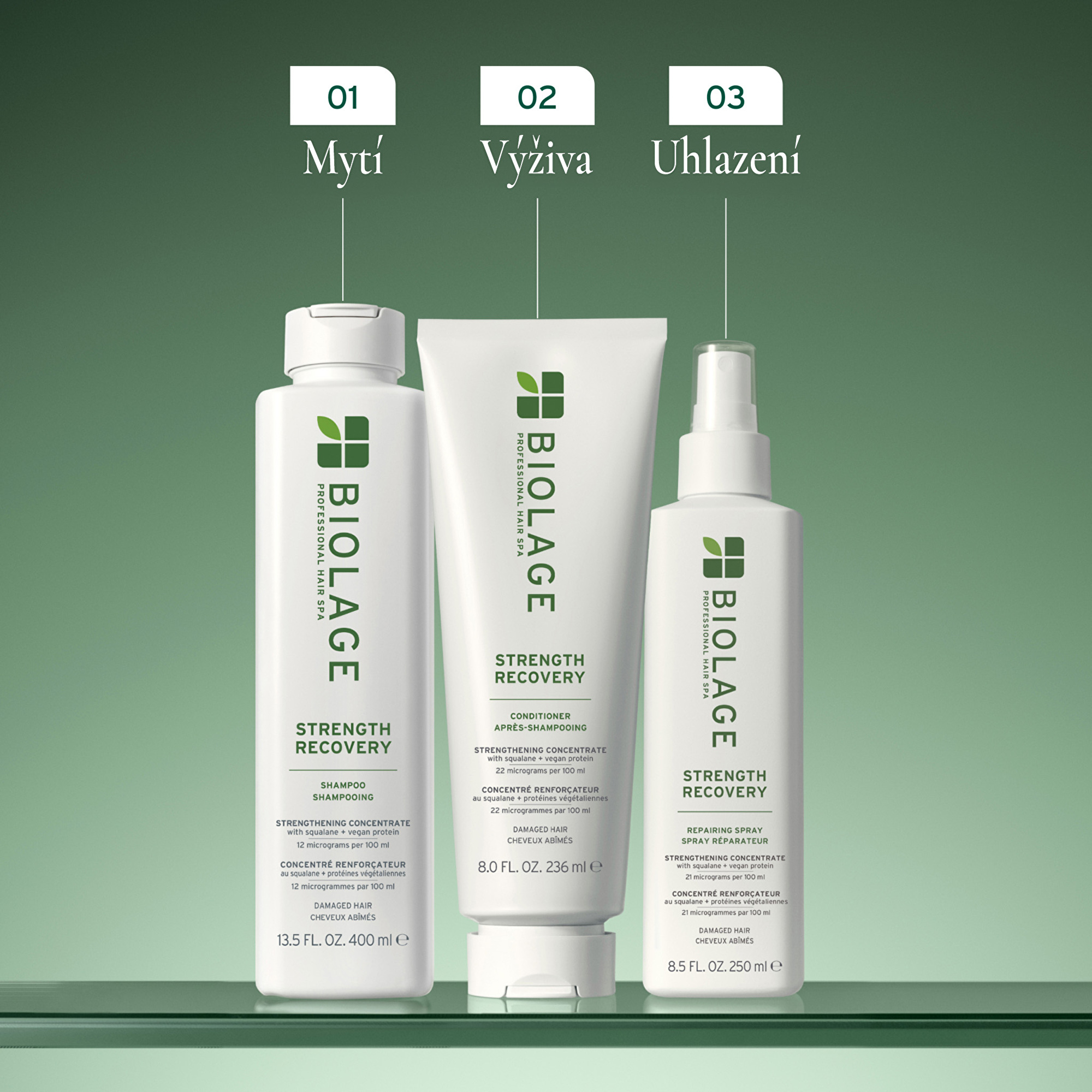 Regeneračný sprej pre poškodené vlasy Strength Recovery (Repairing ...