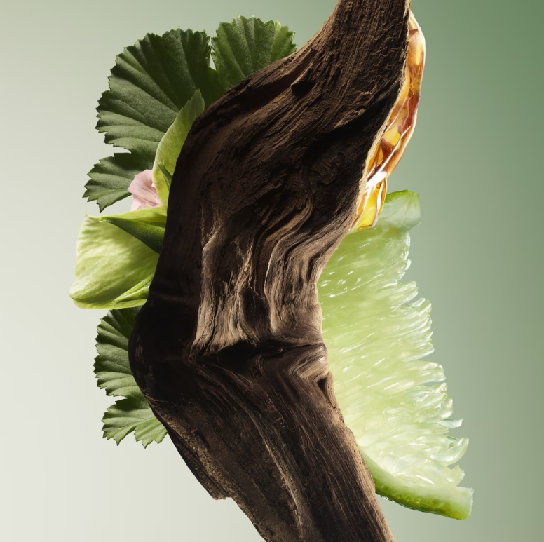 Paradigma - EDP (plniteľná) | Vivantis.sk - Hello Gorgeous!